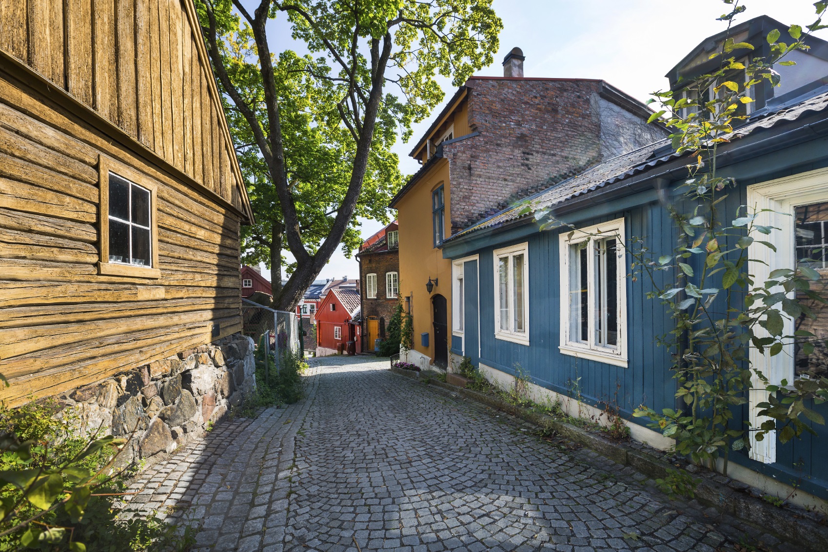 Get to know the boroughs of Oslo: Telthusbakken & Damstredet | OURWAY Tours
